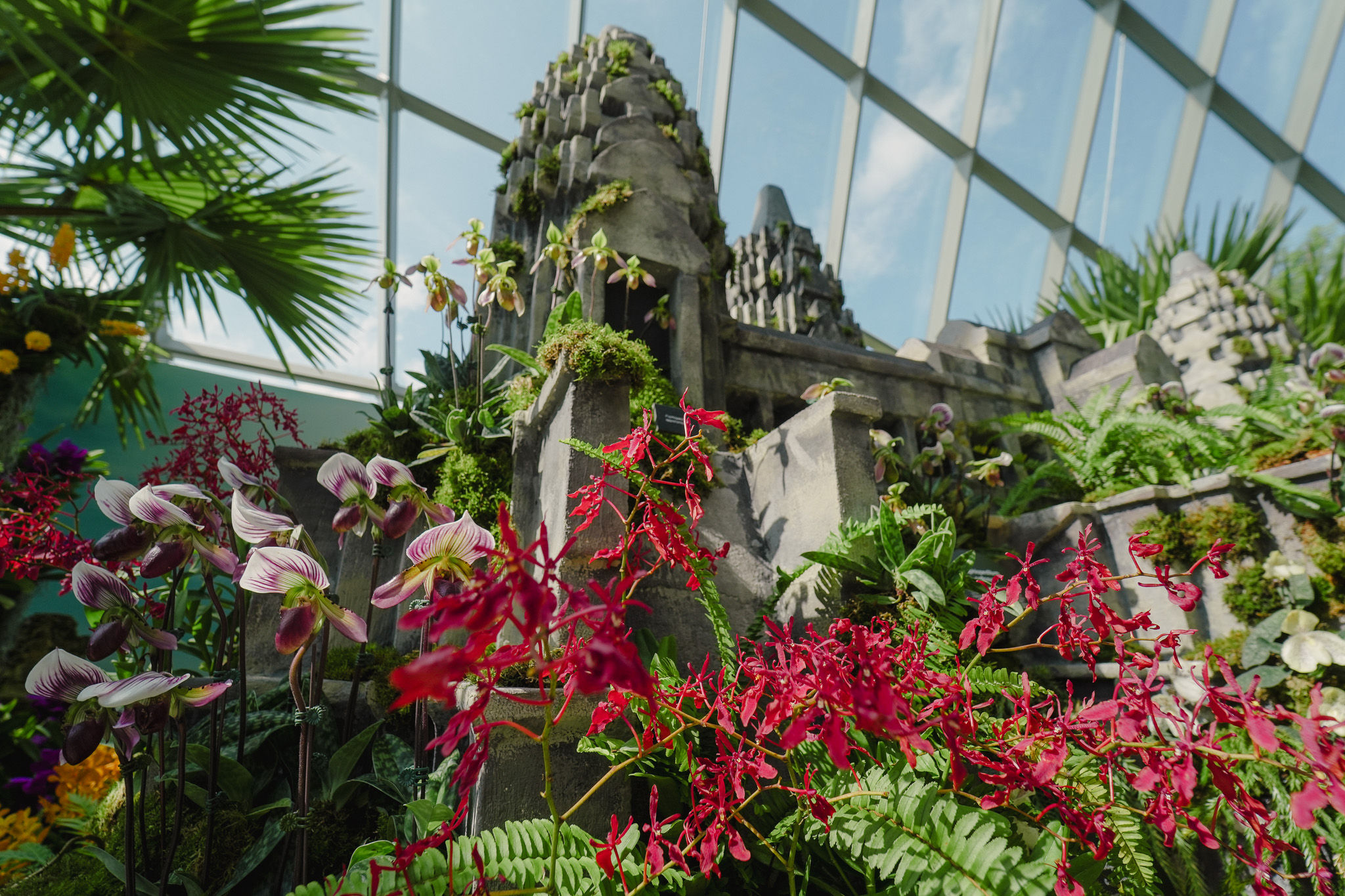 Visit the Enchanting Orchids of Angkor Wat When You Travel to Singapore